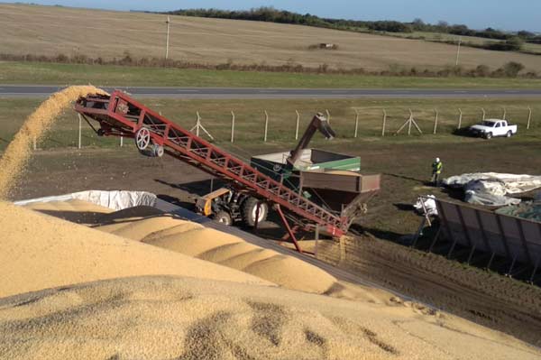 Dismor Regional Logistics